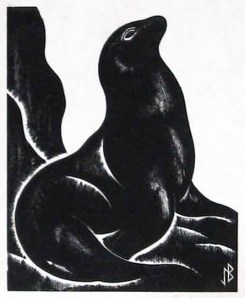 The Selchie (Seal-Woman) | Margaret French, storyteller
